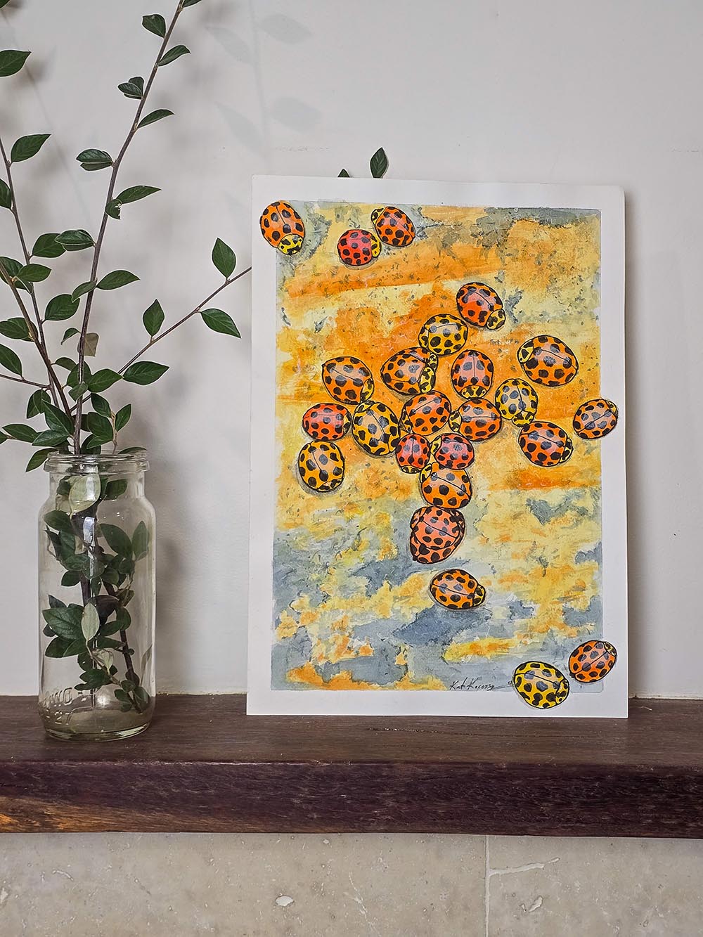 Original Art - Australian native insect ladybug - Ladybirds ...